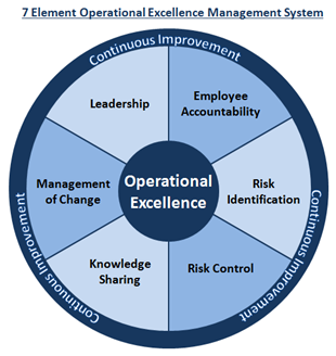 The 7 Element Operational Excellence Management System: Our BIG Idea