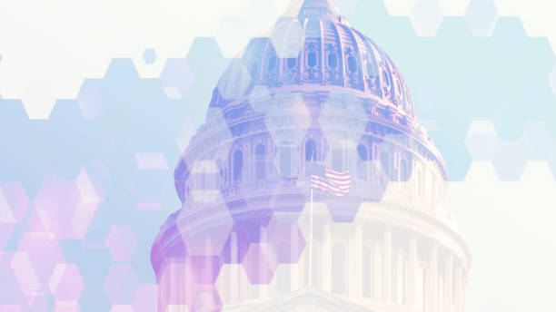 Case Studies | Government Case Studies